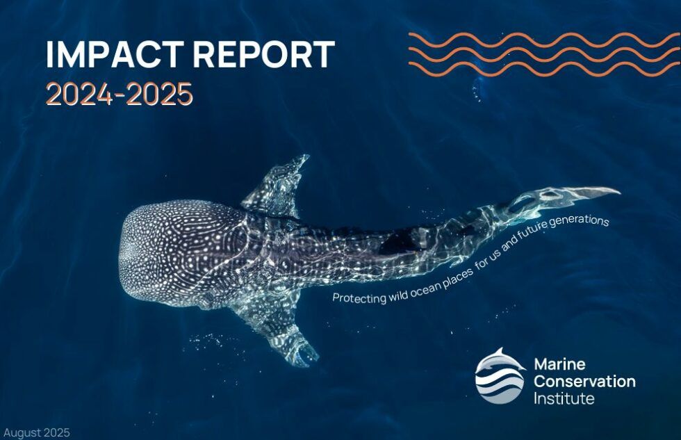 Impact report 2024-2025 - Observatorio Tecnológico